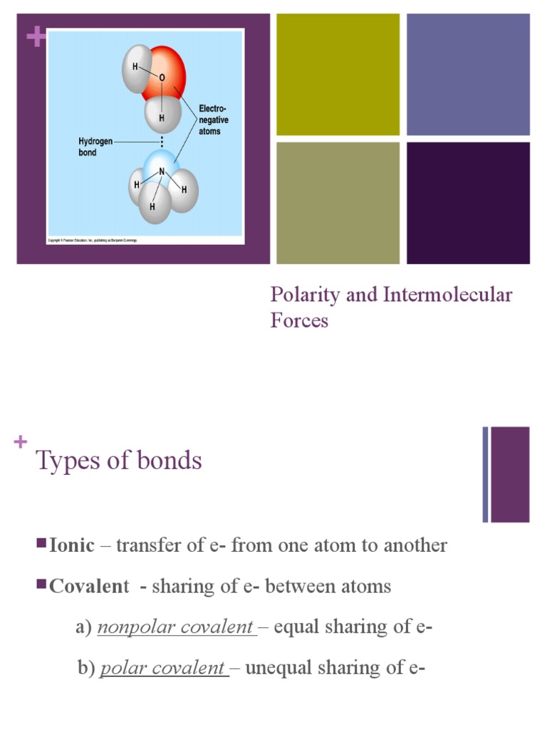 Polarity | PDF | Chemical Polarity | Intermolecular Force