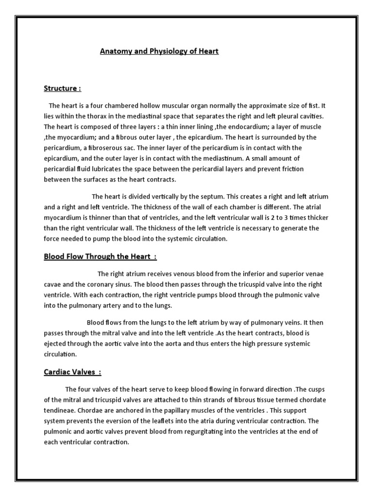 Anatomy and Physiology of Heart | PDF | Heart Valve | Coronary Circulation