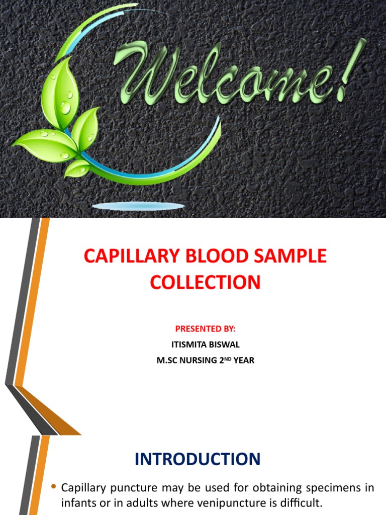 Capillary Blood Collection Procedures | PDF | Clinical Medicine | Medicine