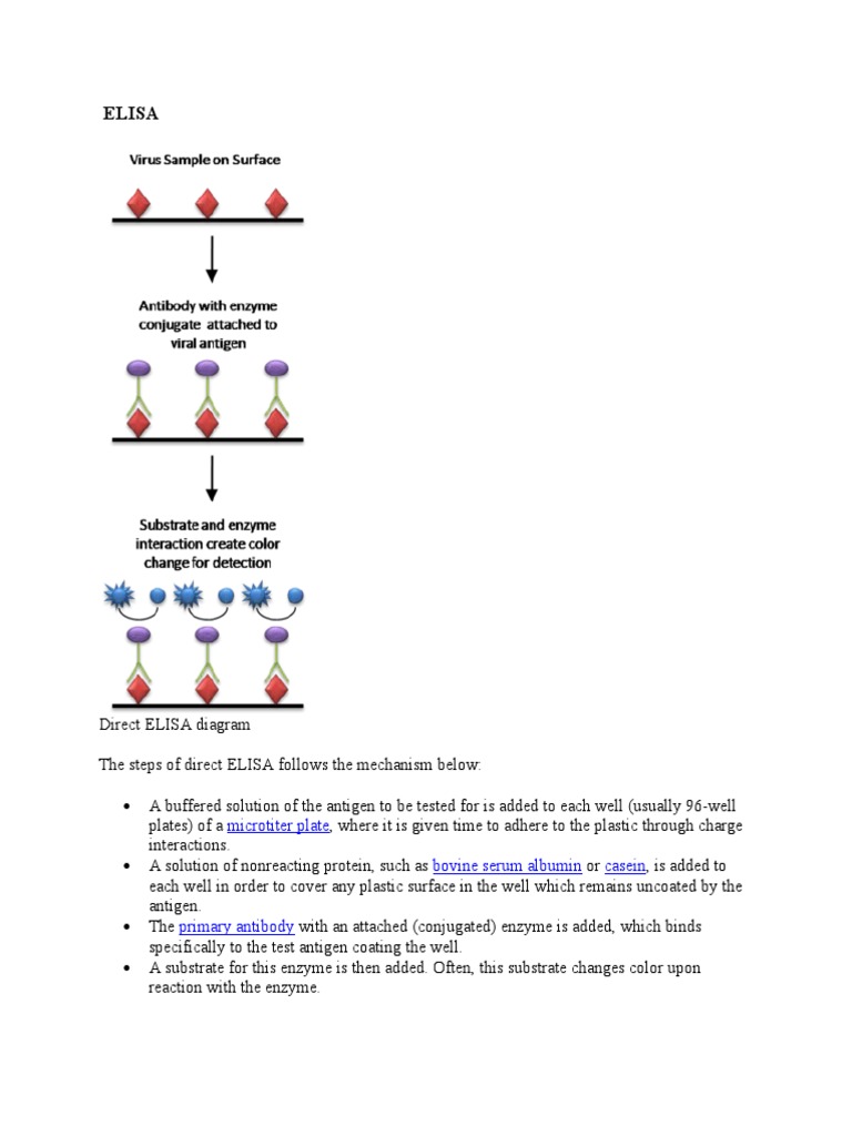 Eliza Method | PDF | Elisa | Humoral Immunity