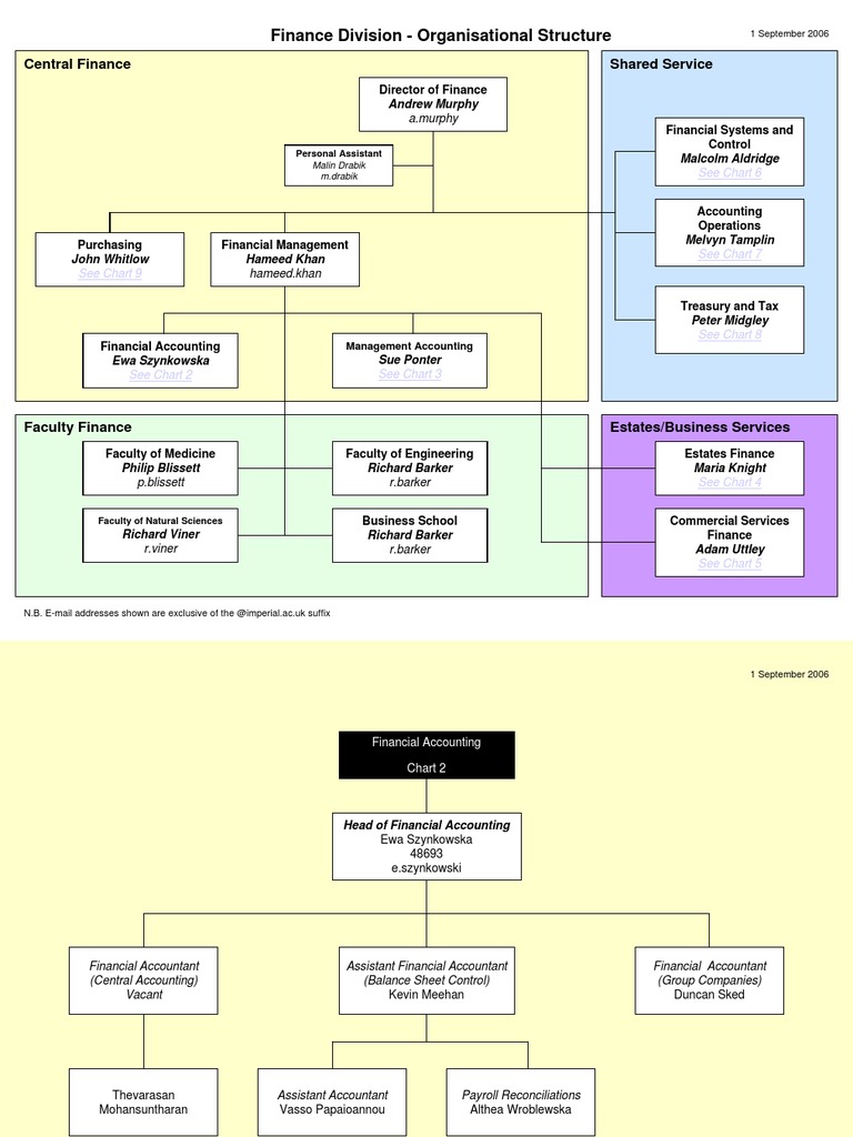 Imperial Finance Structure | PDF | Accounting | Service Industries