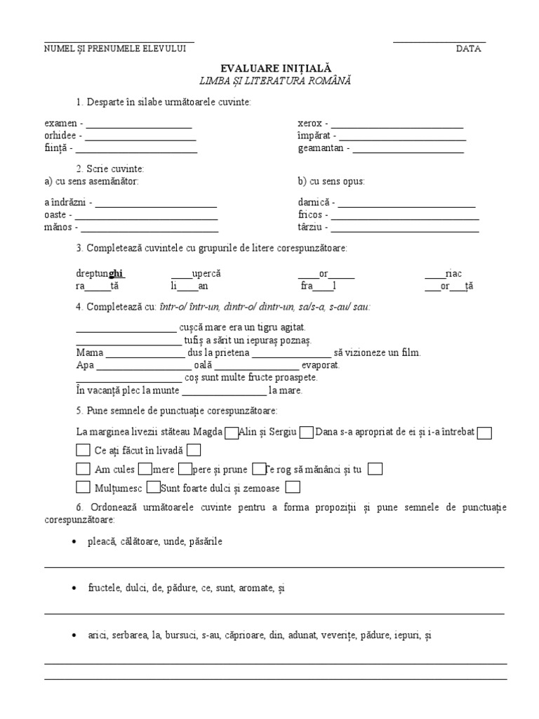 0 Evaluare Initiala LLR III | PDF