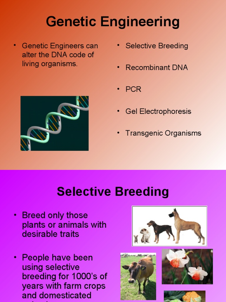Genetic Engineering Techniques | PDF | Genetic Engineering ...