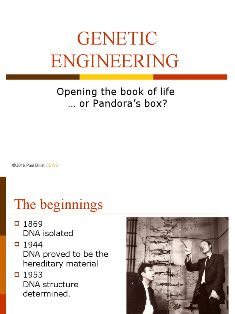 GENETIC ENGINEERING The Works | PDF | Molecular Cloning | Dna