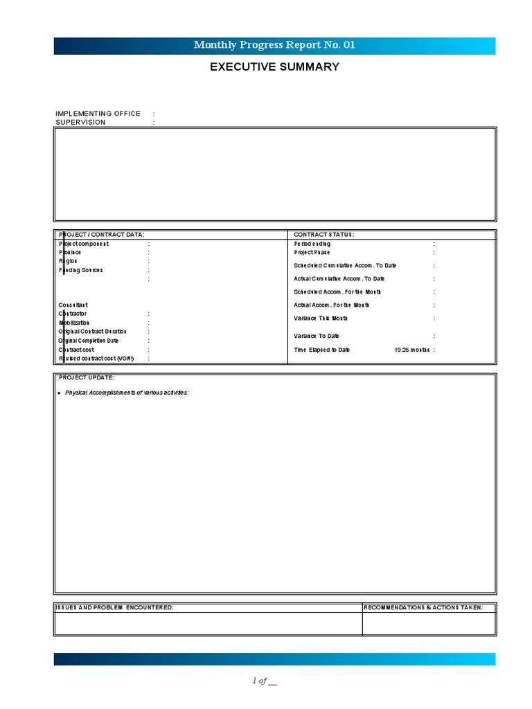 Exec Summary - For Monthly Report | PDF