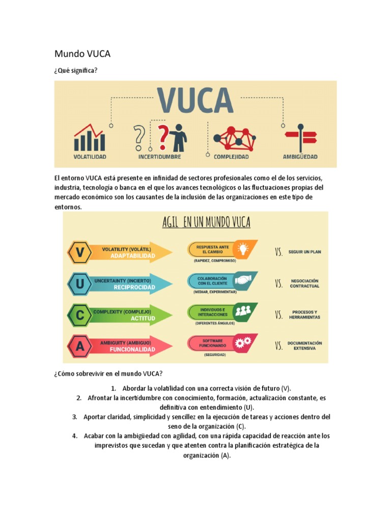 Mundo VUCA | PDF