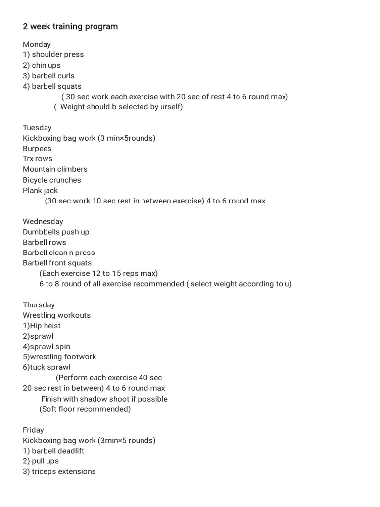 2 Week Trainingprogram | PDF
