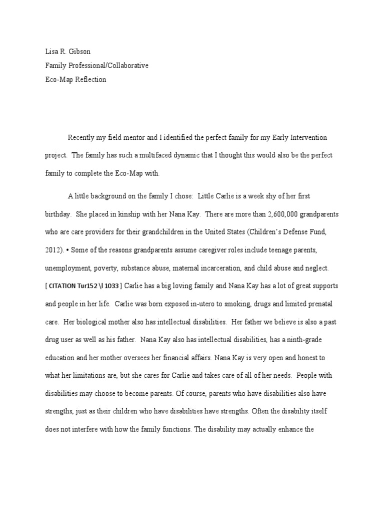 Eco Map Reflection Paper Lisa R | PDF | Grandparent | Family