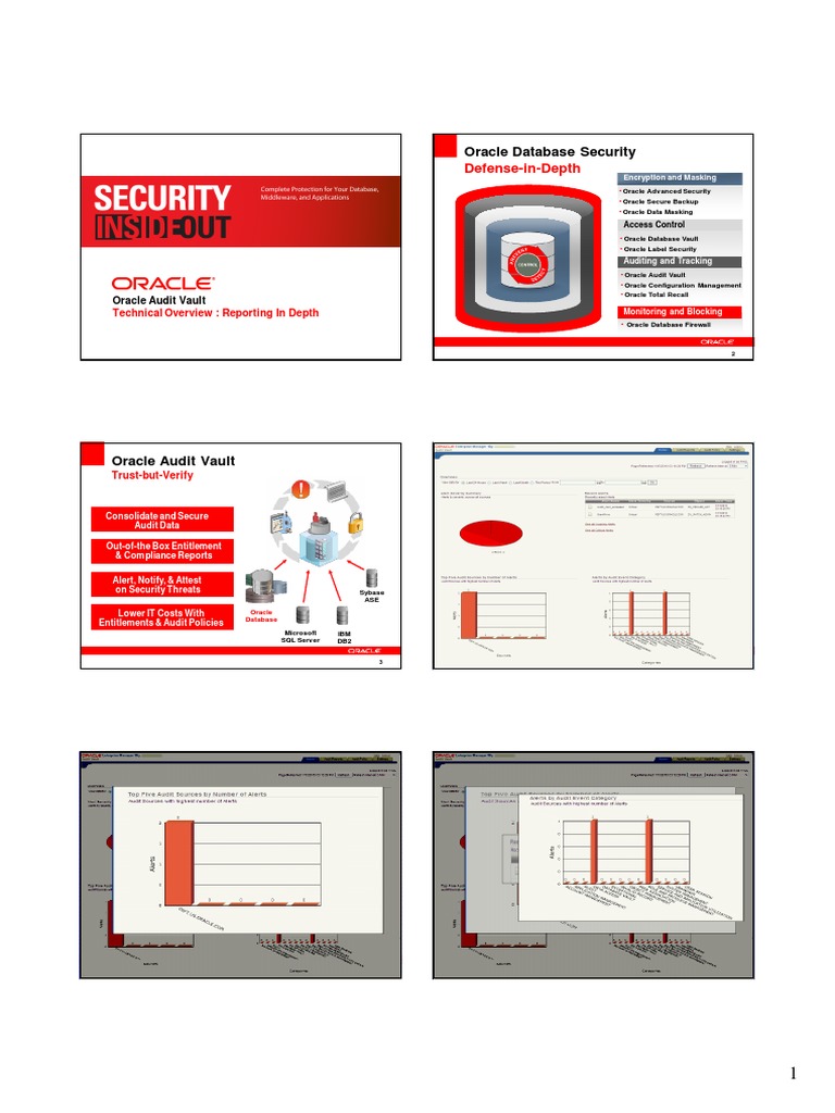 2 PPT Security Audit Vault Reports Tech Screens | PDF | Oracle Database ...