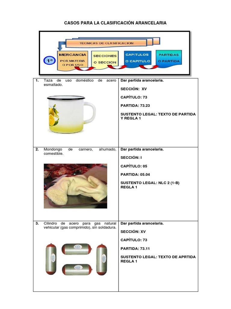 Casos RGI 1 - 4 | PDF | Materiales | Naturaleza