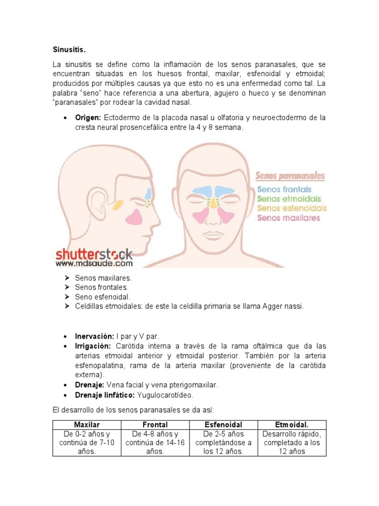 Sinusitis | PDF | Anatomía humana | Medicina CLINICA