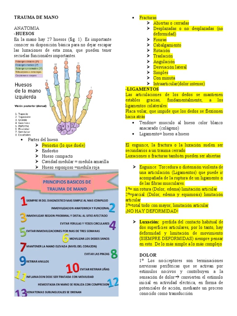 Trauma de Mano | PDF | Cicatrización de la herida | Inflamación