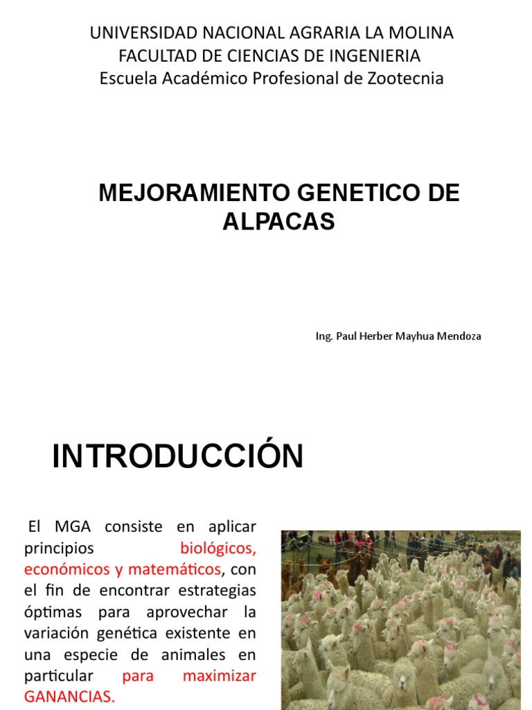 Clases de Mejoramiento Genético | PDF | Evolución | Gene