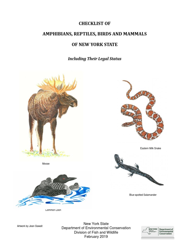 Checklist of Amphibians, Reptiles, Birds and Mammals of New York State ...
