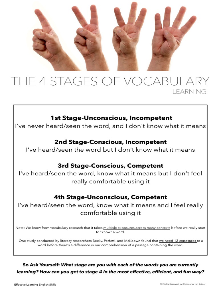 The 4 Stages of Vocabulary | PDF