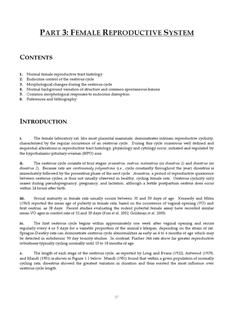 Female Rat Oestrous Cycle Overview | PDF | Ovary | Epithelium