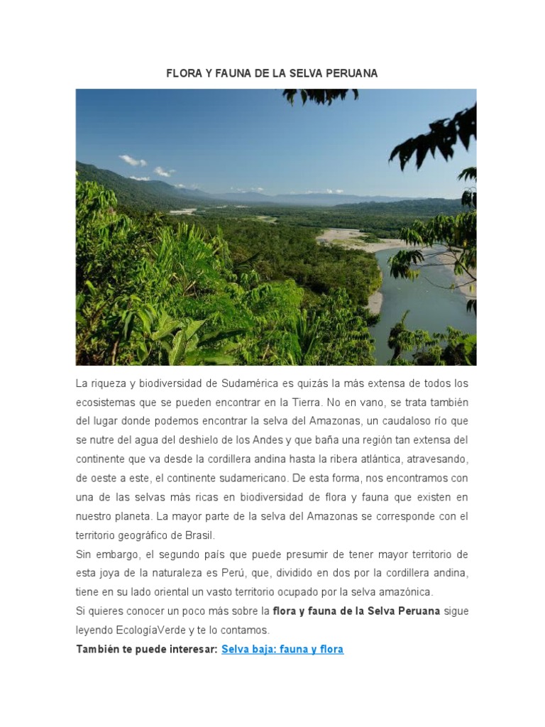 Flora y Fauna de La Selva Peruana | PDF | Selva | Selva amazónica