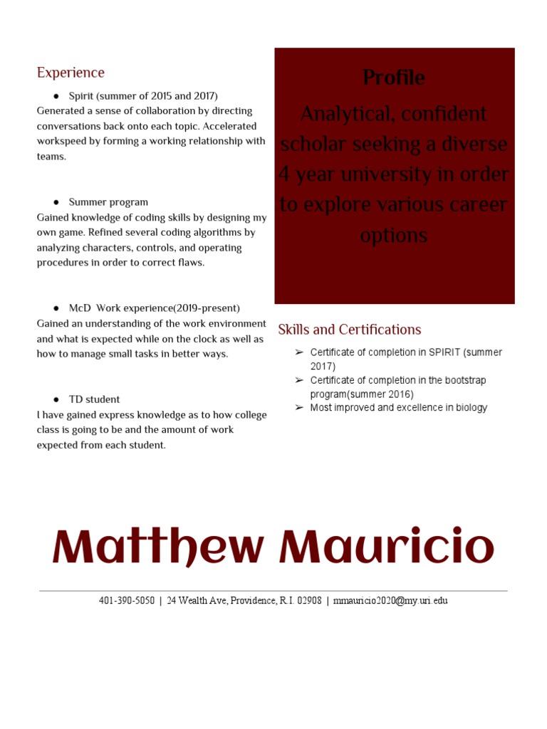 Mauricio Junior Resume 2020 | PDF