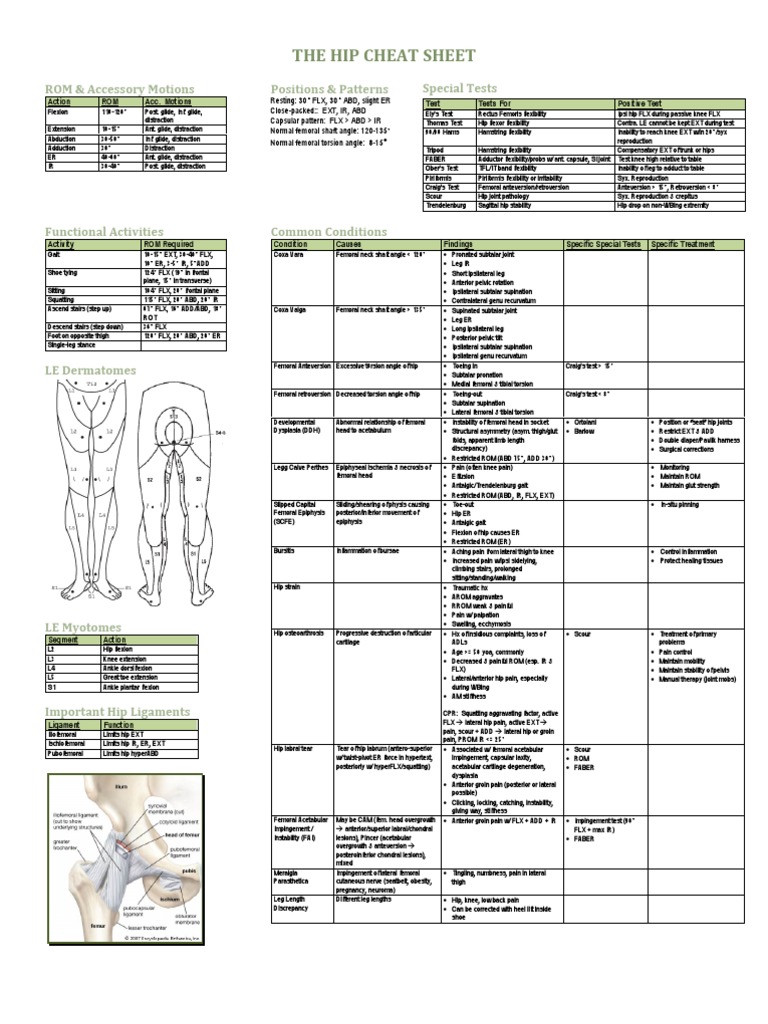 LE Cheat Sheets | Knee | Ankle