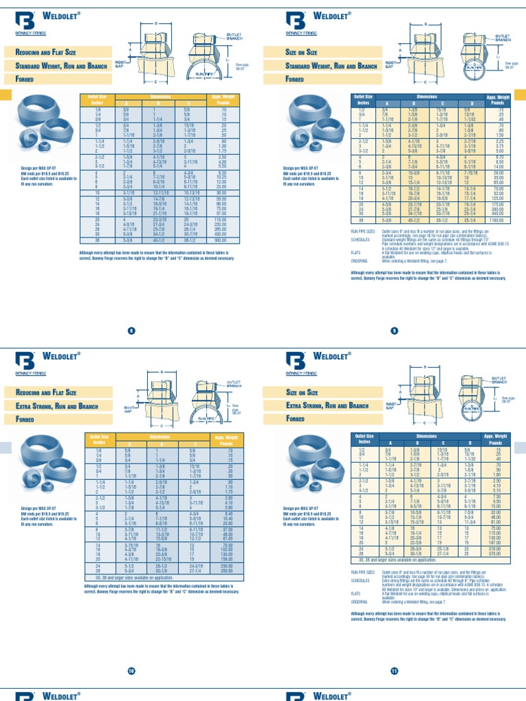 MSS SP 99 Weldolet | PDF | Pipe (Fluid Conveyance) | Building Engineering