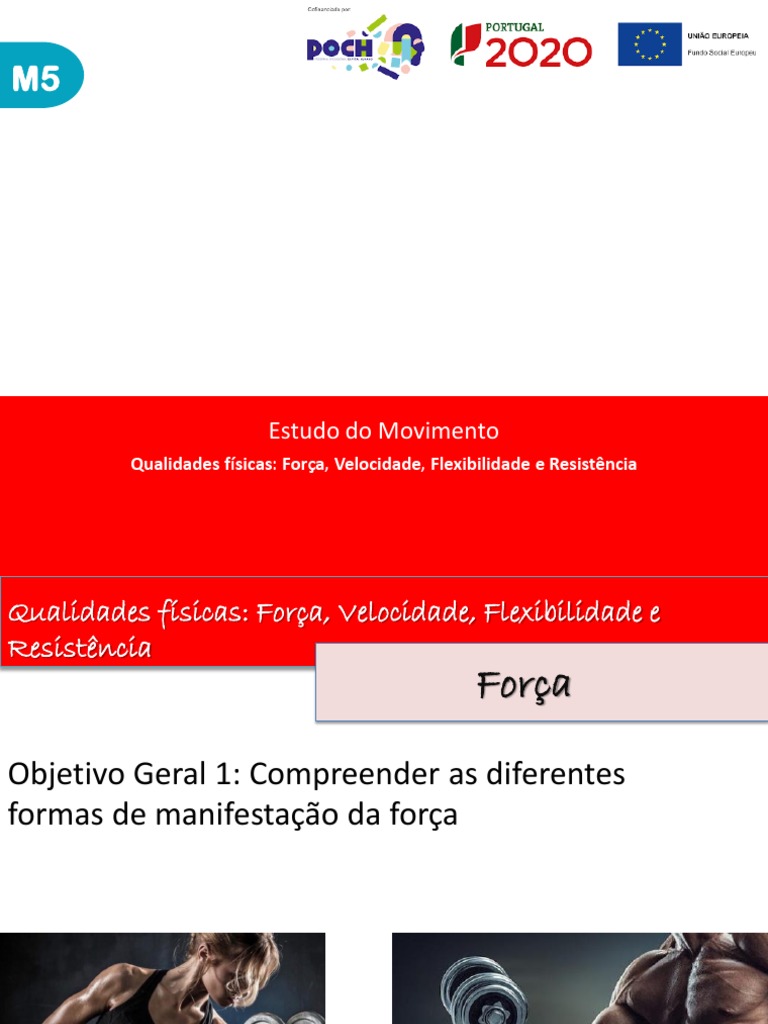 As diferentes formas de manifestação da força muscular e suas ...