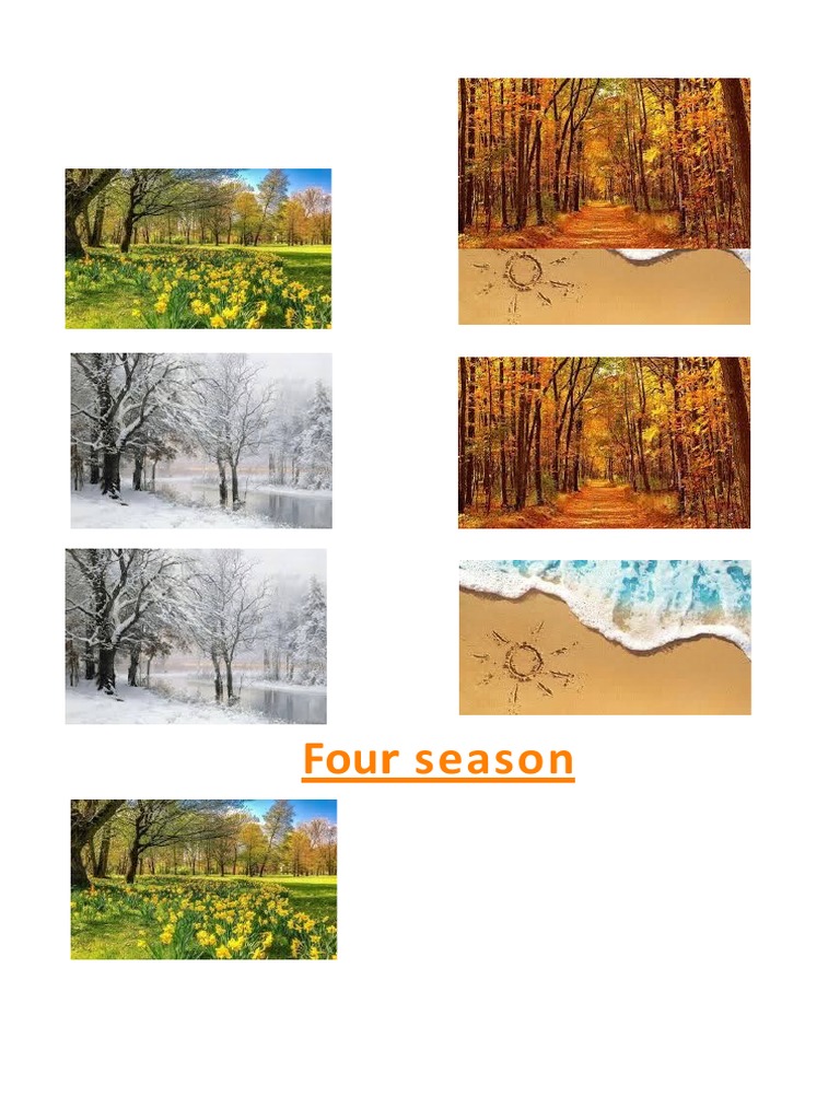 Four Seasons Activities for Year 3 | PDF