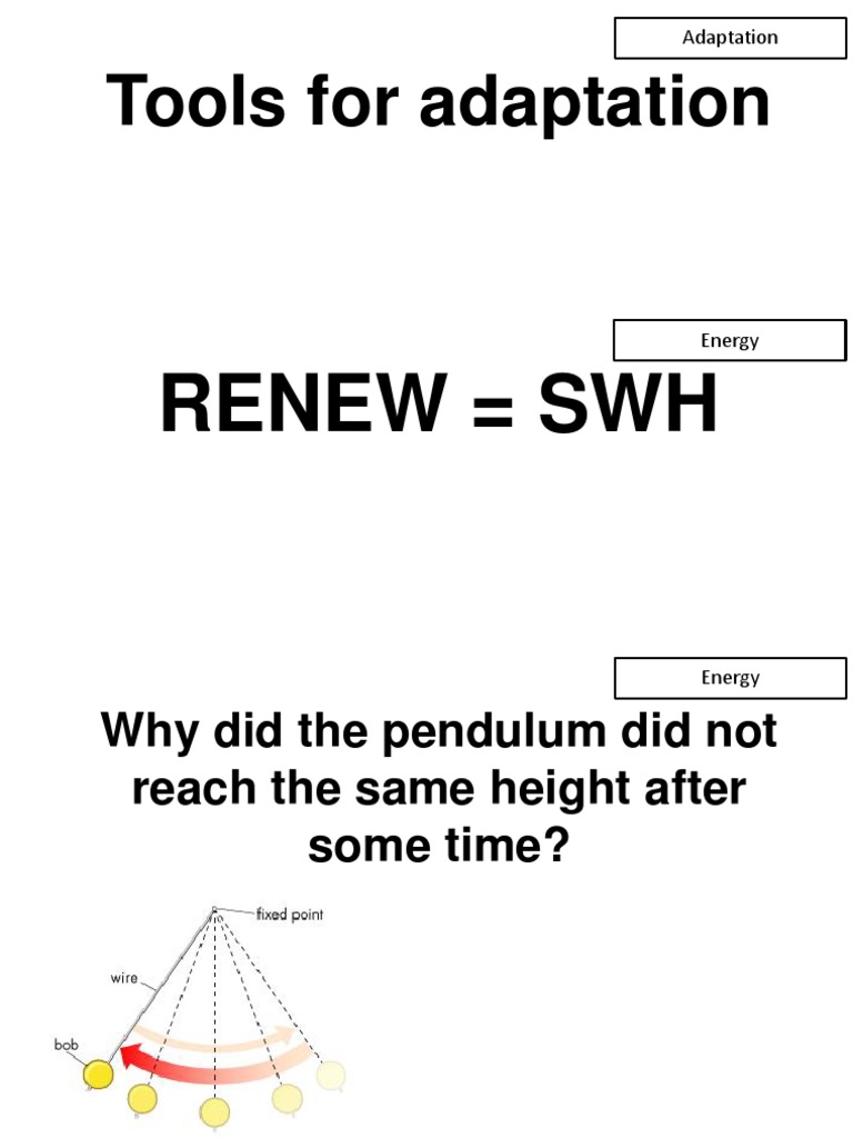 PSLE Science Codes - PDF 2020 (Template) PDF | PDF | Seed | Water