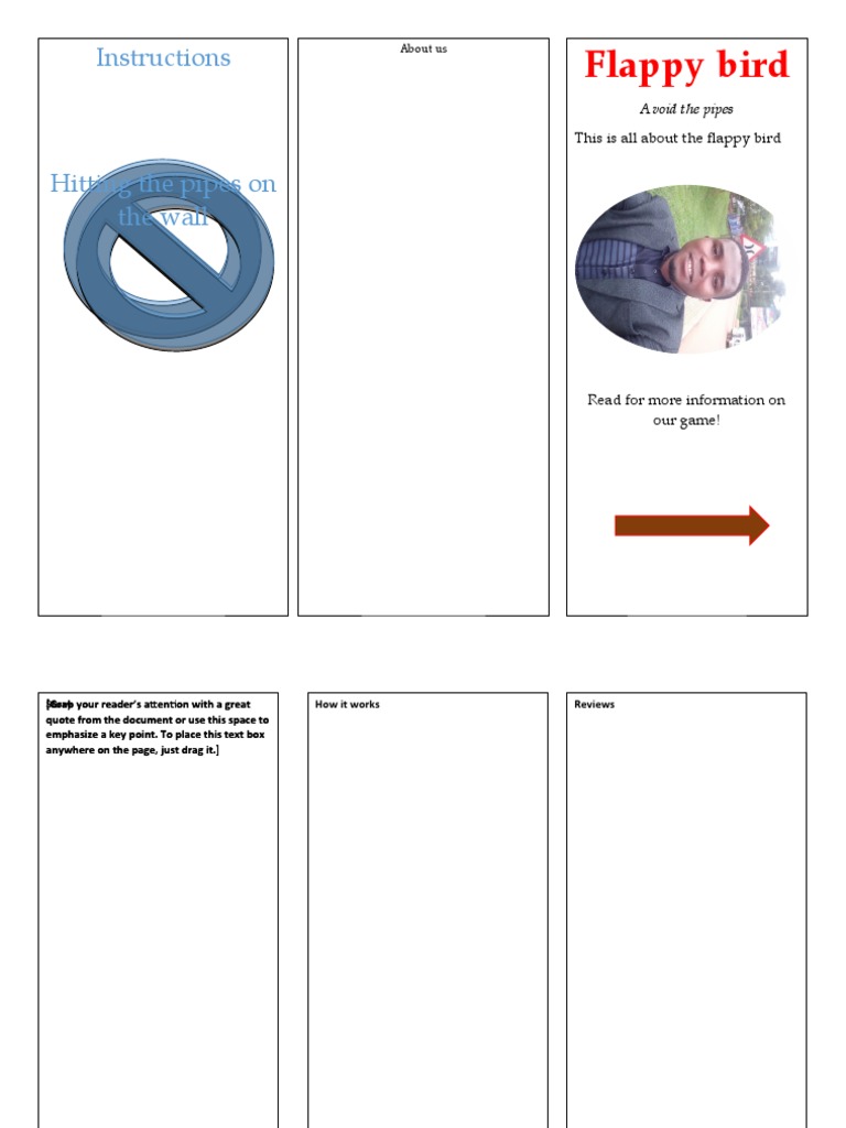 Flappy Bird: Instructions | PDF