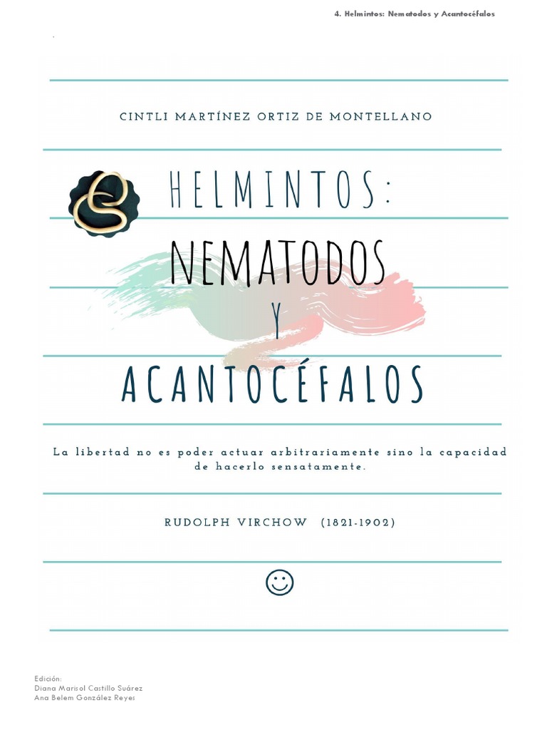 Nematodos y Acantocéfalos - Apuntes PDF | PDF