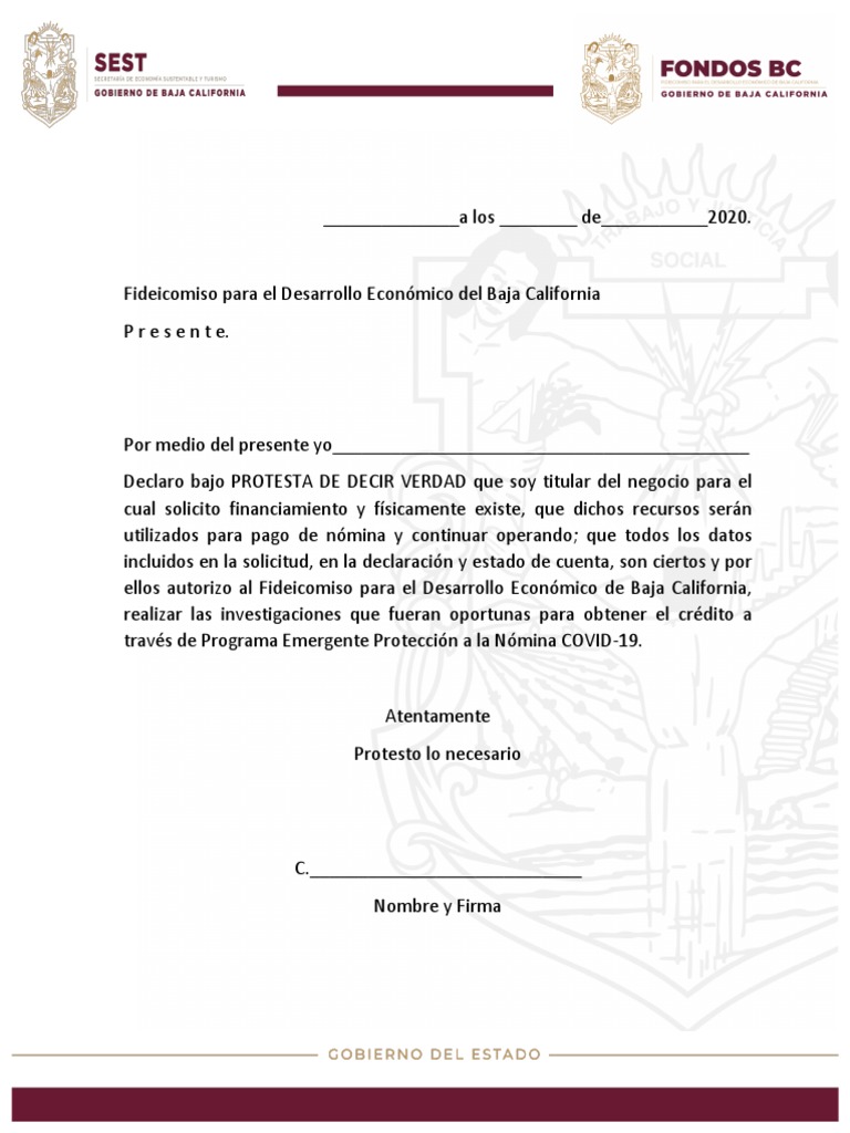 Carta Bajo Protesta PDF | PDF