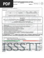 Formatos Nuevos Del ISSSTE (Word) | PDF | Medicina CLINICA | Especialidades Medicas