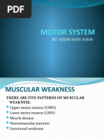Pyramidal Weakness. Practical Neurology | PDF | Anatomical Terms Of ...