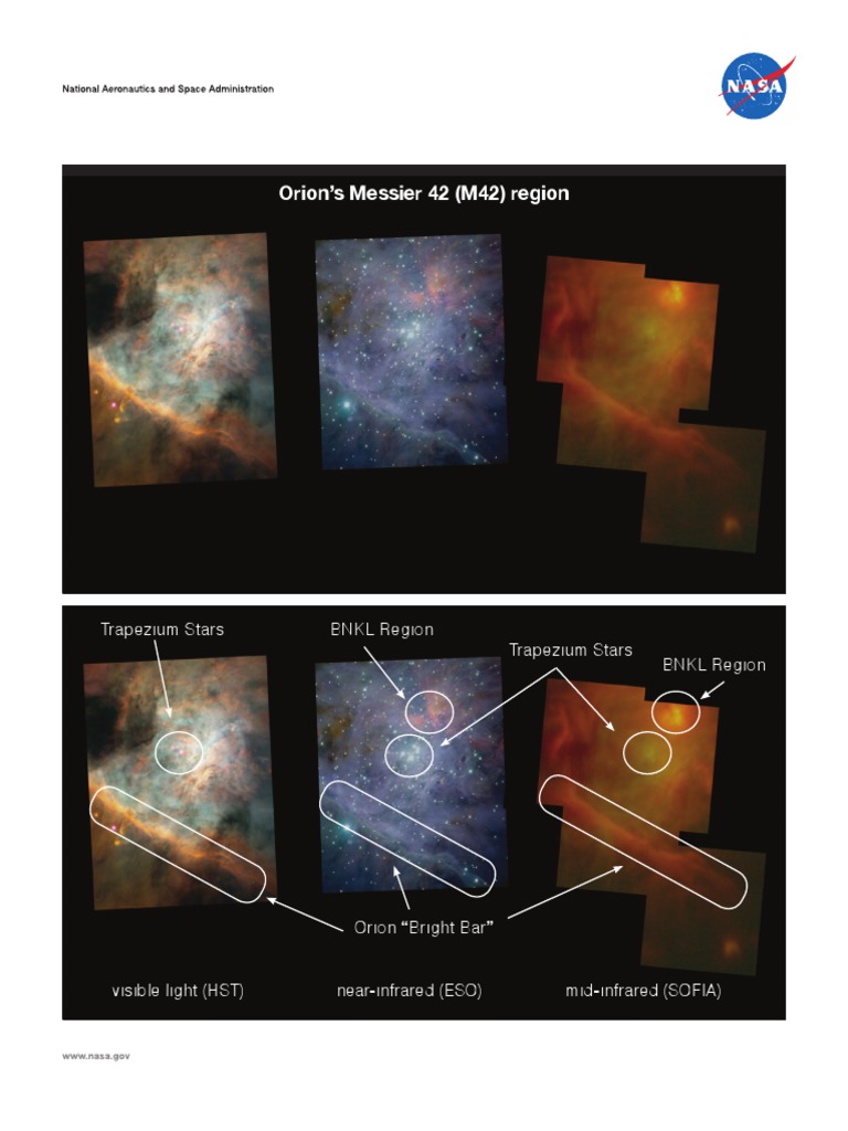 Orion's Messier 42 (M42) Region: Trapezium Stars Trapezium Stars BNKL ...