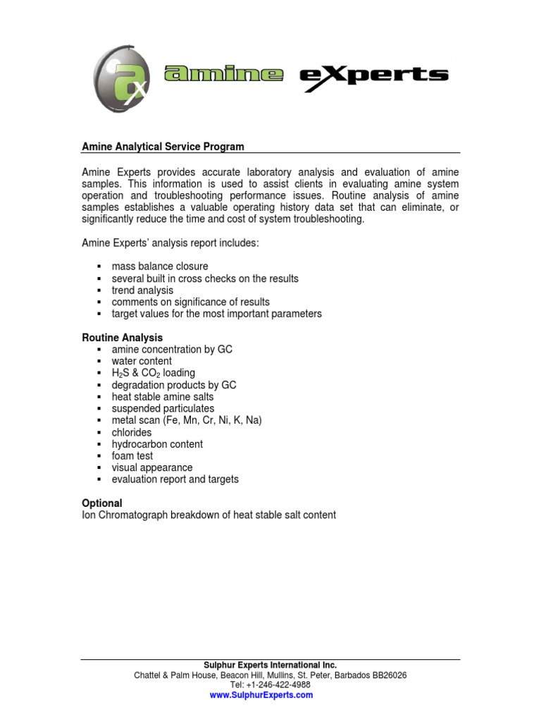 Amine Expert Company PDF | PDF | Chemical Substances | Chemistry