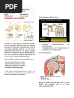 Apófisis Coracoides | PDF | Hombro | Extremidades (anatomía)