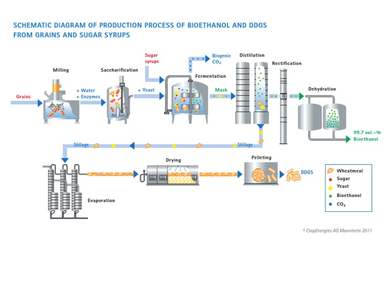 Schematic Diagram of Production Process of Bioethanol and Ddgs From ...