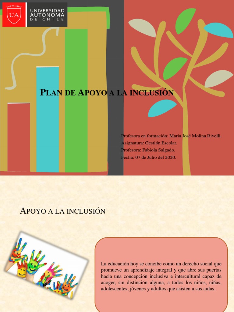 Plan de Apoyo A La Inclusion | PDF | Inclusión (Educación) | Aprendizaje