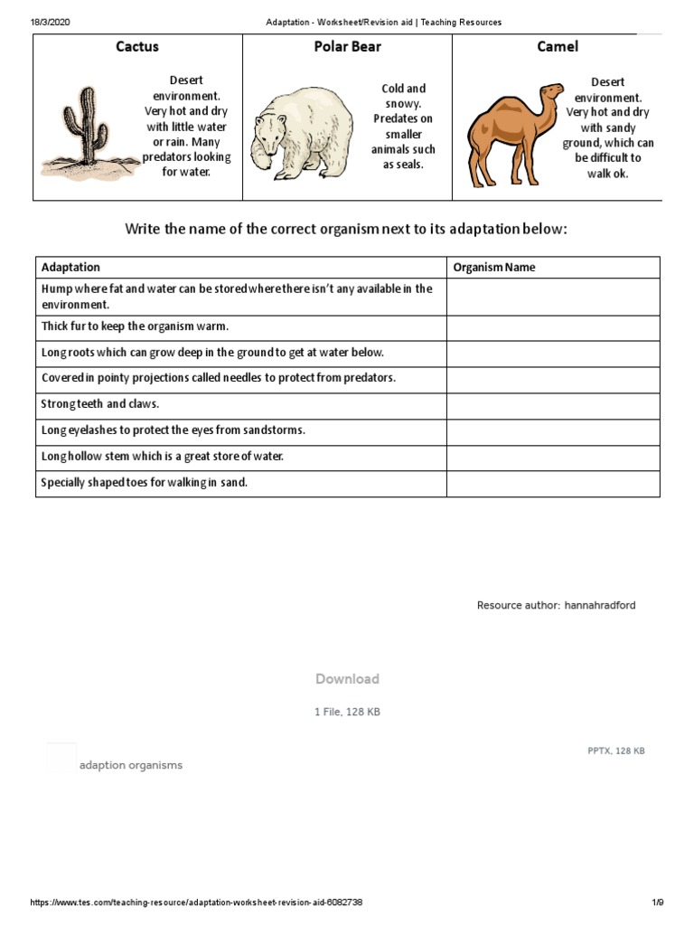 Organism Adaptation Matching Worksheet | PDF | Desert | Nature