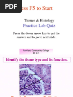 Cat Muscular System Overview | PDF | Foot | Vertebral Column