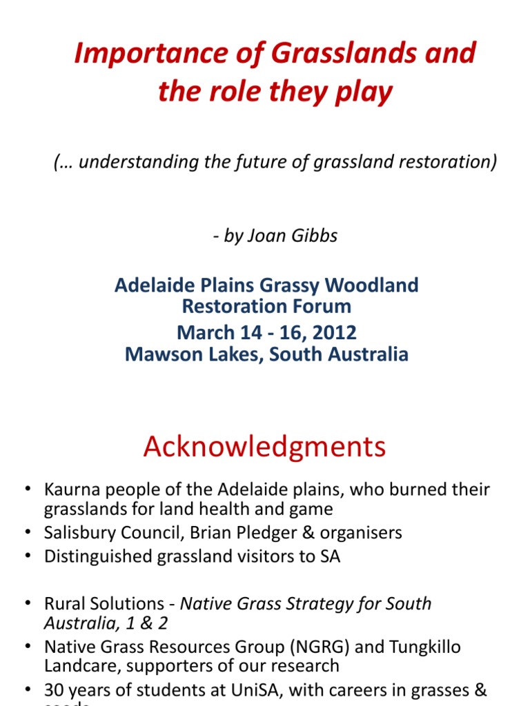 Importance of Grasslands and The Role They Play | PDF | Grassland | Savanna