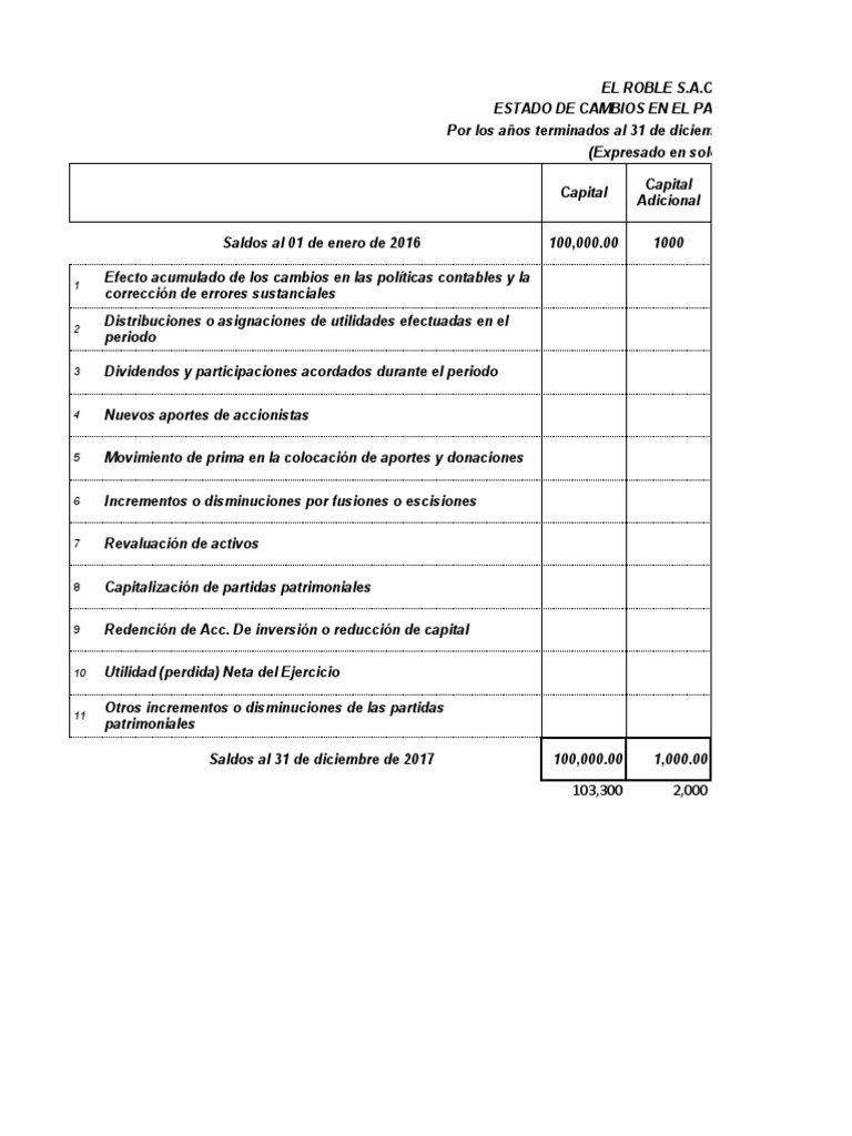 Formato Ecpn | PDF | Valor neto | Contabilidad financiera