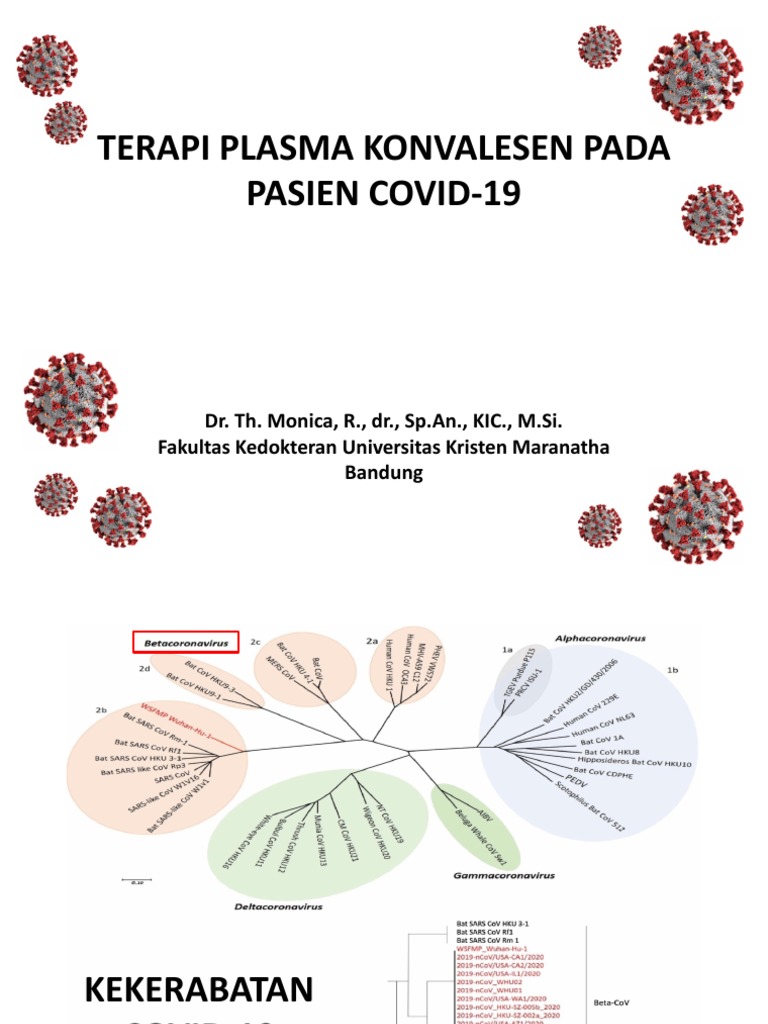 Terapi Plasma Konvalesen PERDICI | PDF | Virology | Animal Diseases