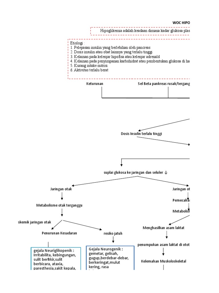 WOC Hipoglikemia | PDF