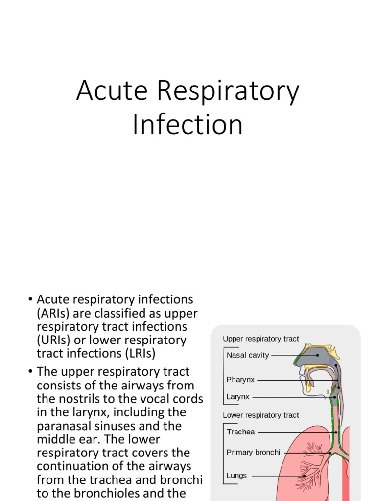 Acute Respiratory Infection PDF | PDF | Respiratory Tract | Pneumonia