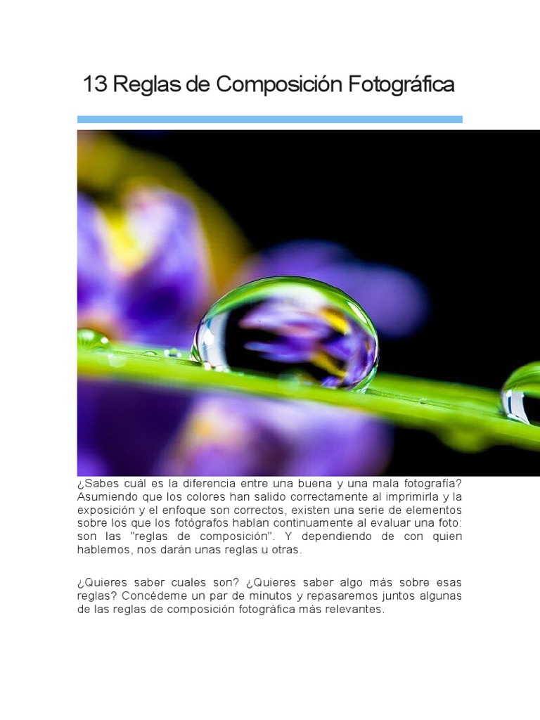 13 Reglas de Composición Fotográfica Que Debes Conocer | PDF | Color ...