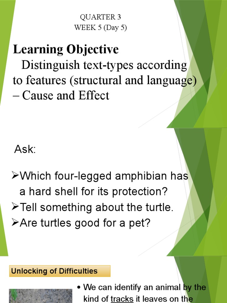 Distinguish Text Types According to Features | PDF