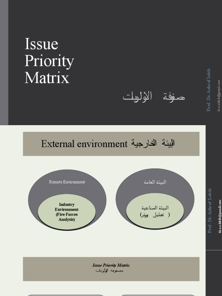 Issue Priority Matrix 3 | PDF