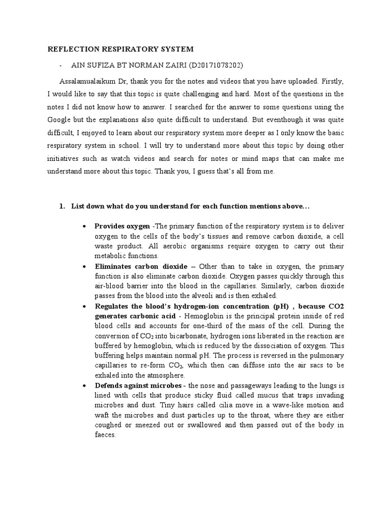 Reflection Respiratory System | PDF | Exhalation | Lung