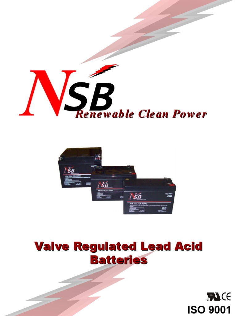 NSB Catalog | PDF | Galvanic Cells | Energy Storage