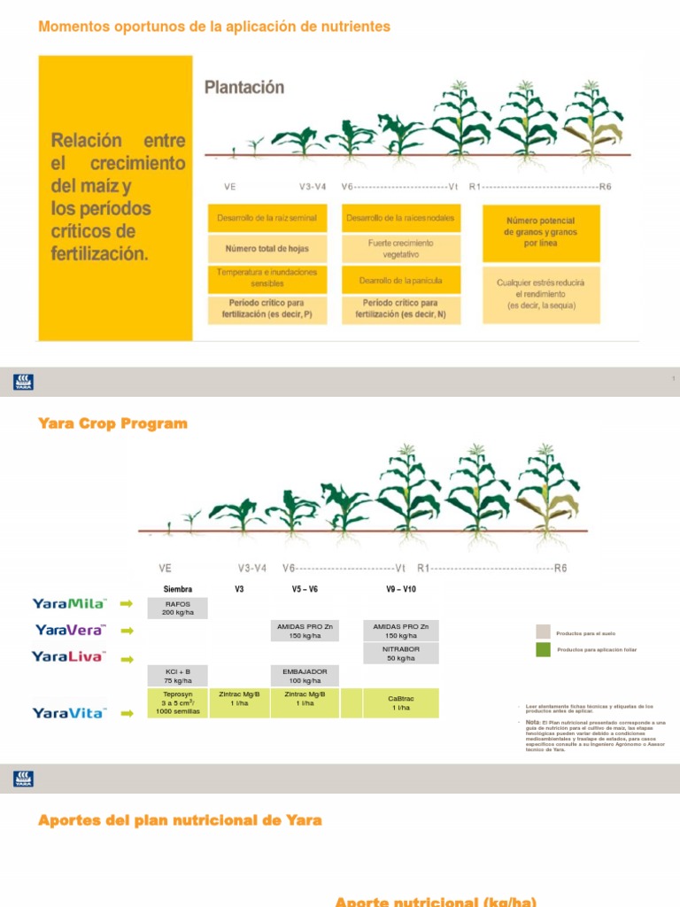 Crop Program Maíz | PDF | Industria de alimentos | Comida y bebida